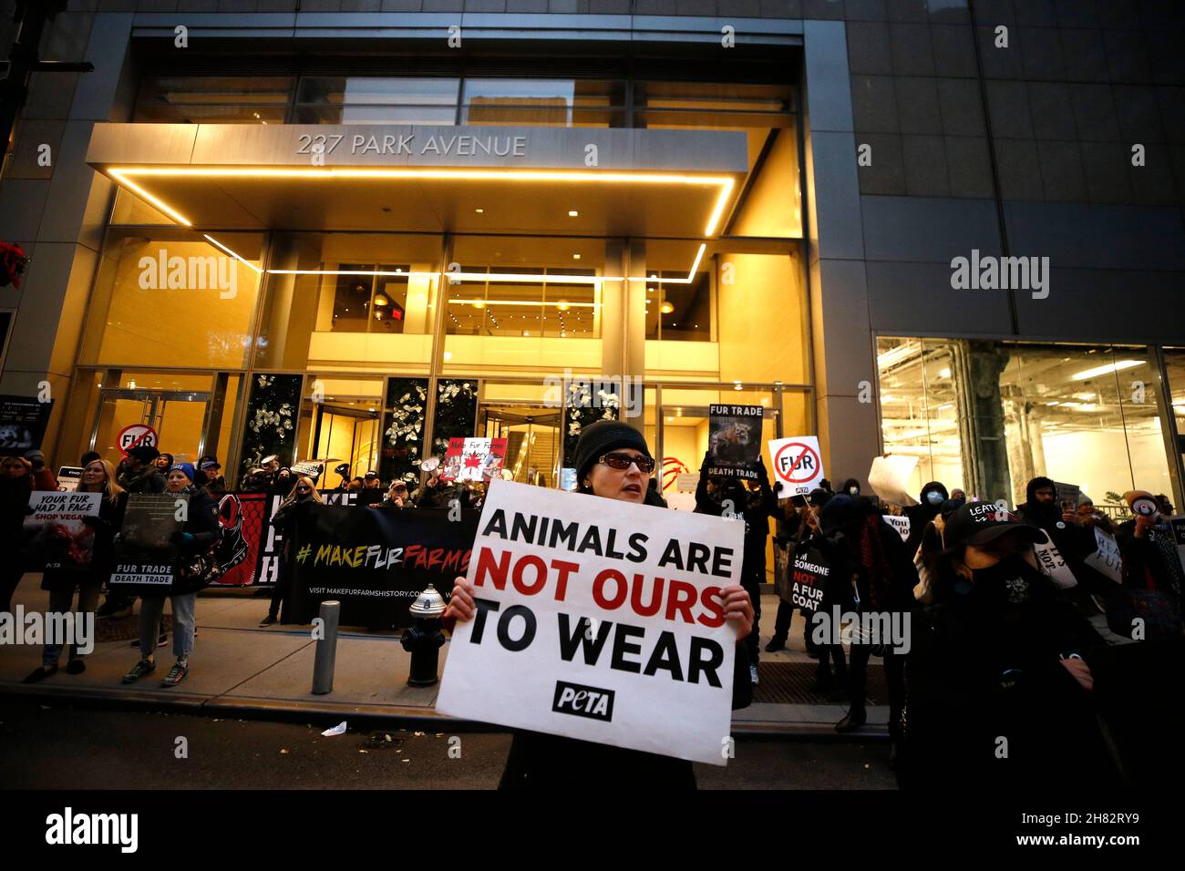 Fur free fridays hi-res stock photography and images - Alamy