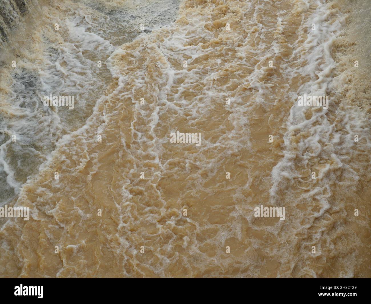Flood Water Texture