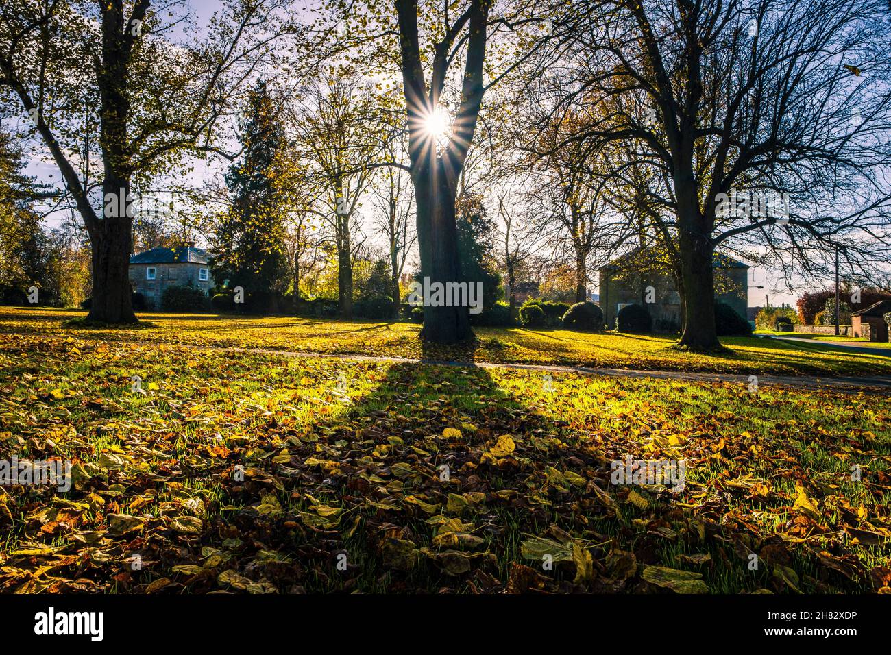 Autumn colours and the long shadows of a low sun Stock Photo - Alamy