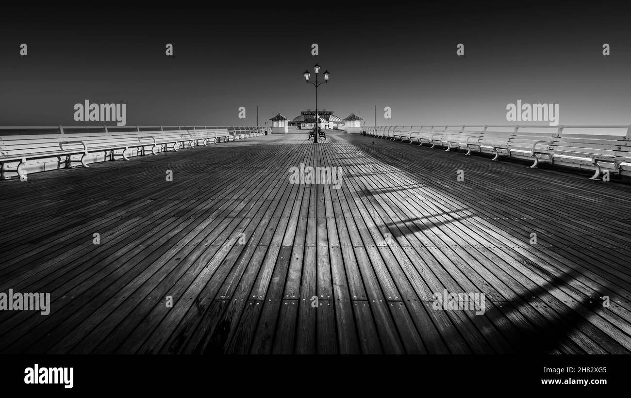 Pier worms hi-res stock photography and images - Alamy