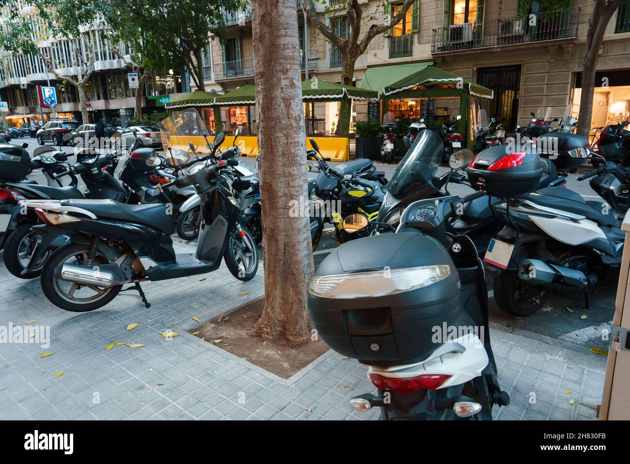 Lots of black contemporary motorbikes placed on paved street in city at ...