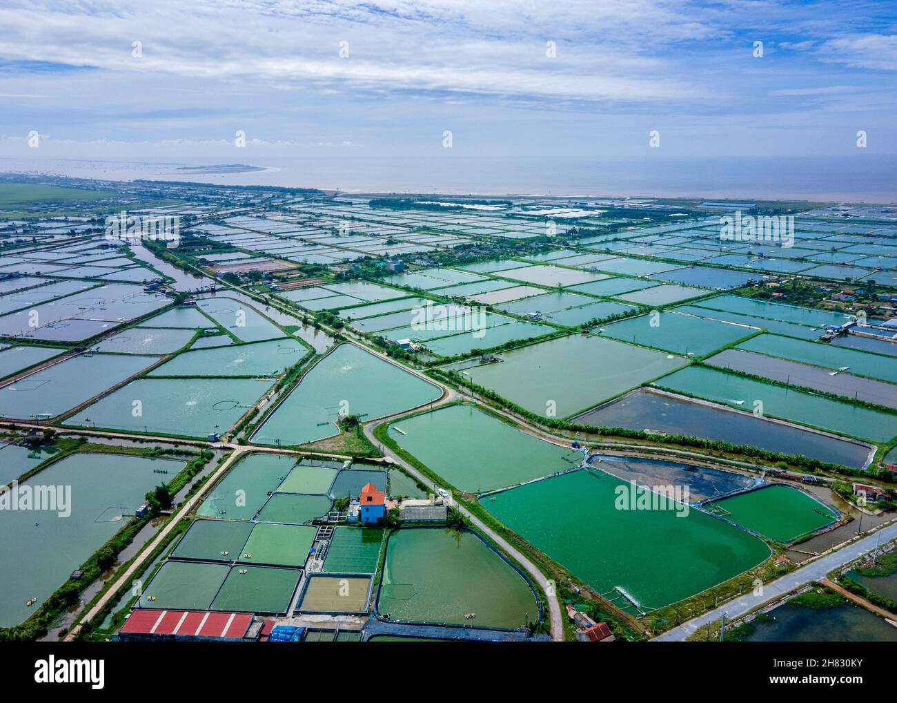 Aerial view of shrimp farms in Xuan Thuy, Namdinh, Vietnam Stock Photo ...