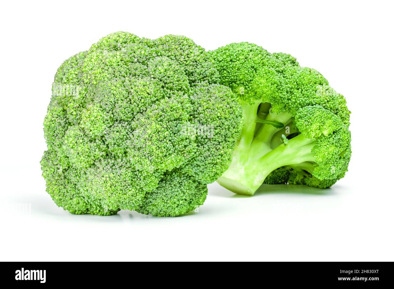 Two ripe broccoli cabbage isolated on white background Stock Photo - Alamy