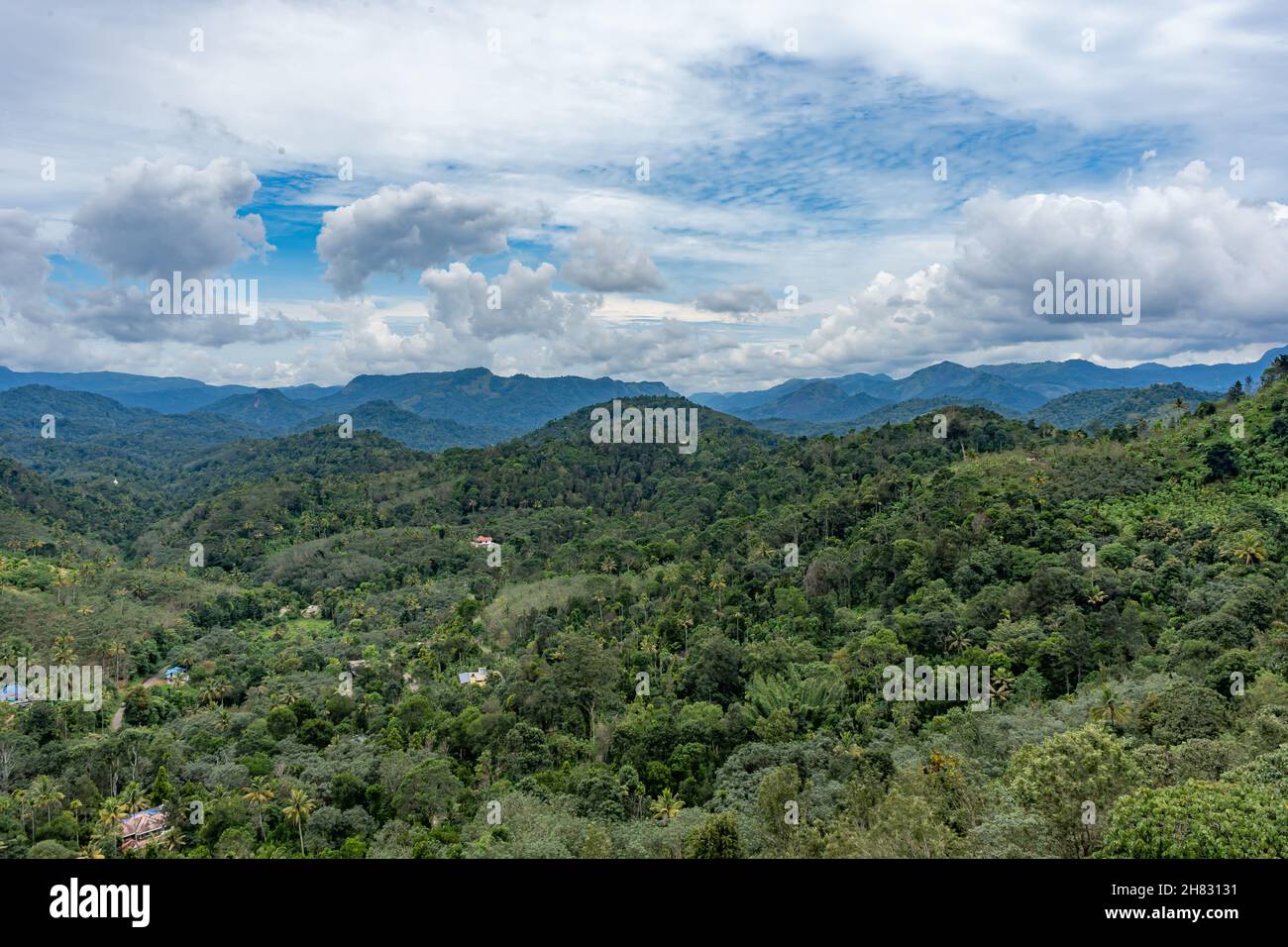 View point over Munnar, Kerala, India Stock Photo - Alamy