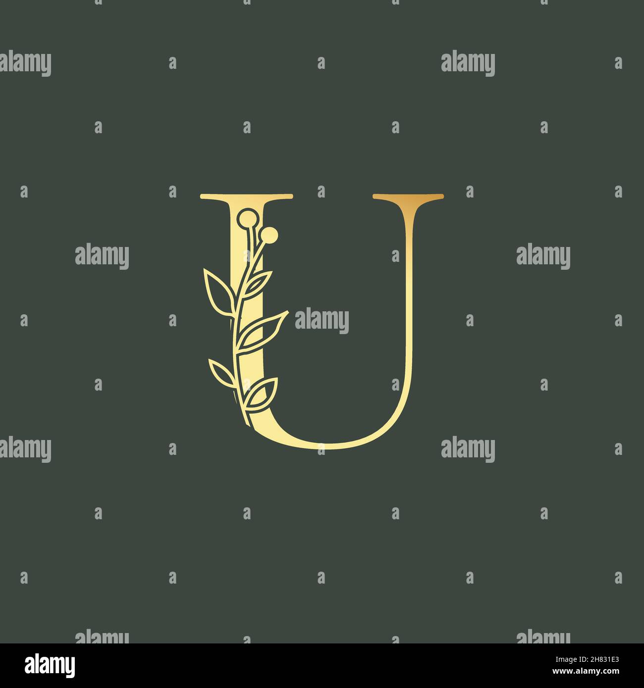 Graphic Floral Initial Alphabet U flowers bouquet composition. Unique ...