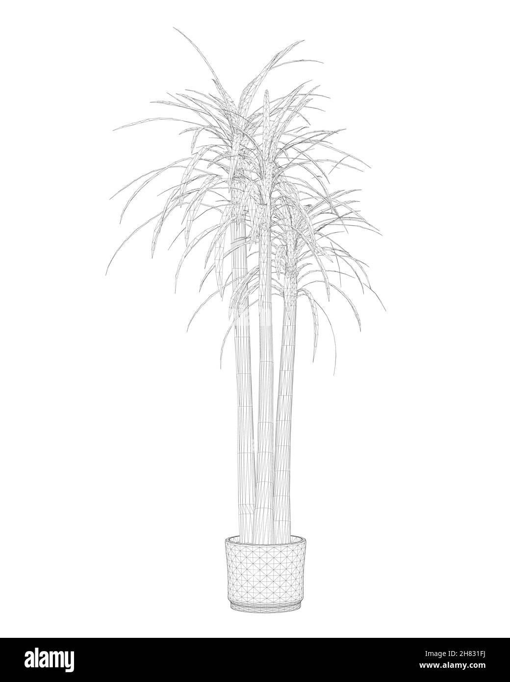 Wireframe home flower with long stem and leaves in a pot isolated on ...