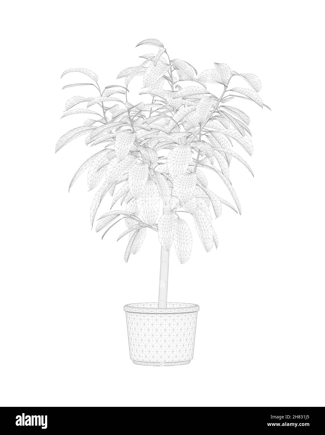 Wireframe home flower with long stem and leaves in a pot isolated on ...