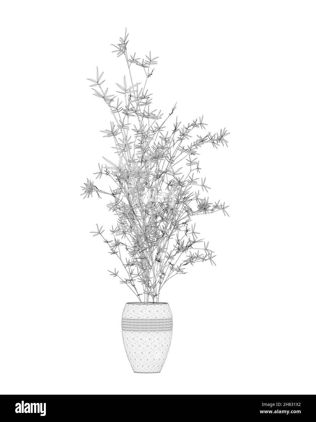 Wireframe home flower with long stem and leaves in a pot isolated on ...