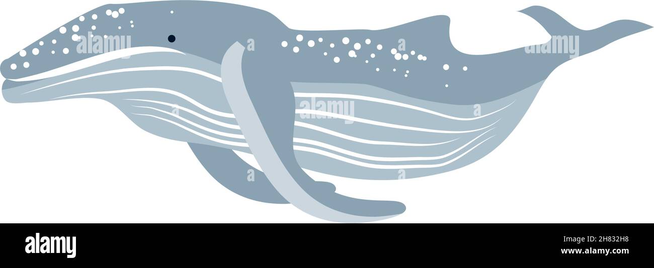 humpback whale icon Stock Vector Image & Art - Alamy