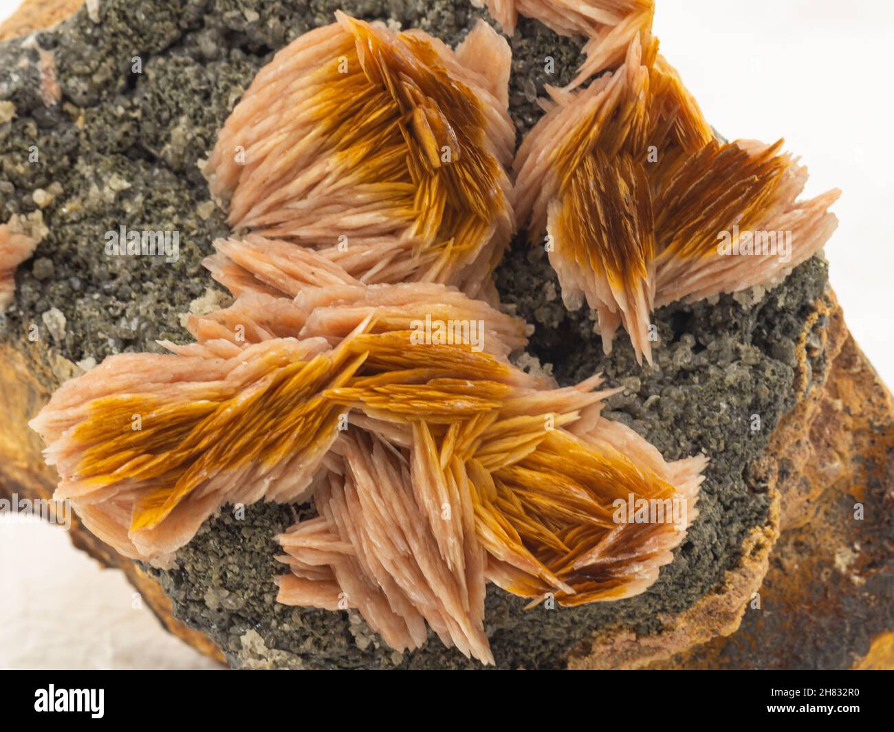 macro image of a collecting mineral sample Stock Photo - Alamy