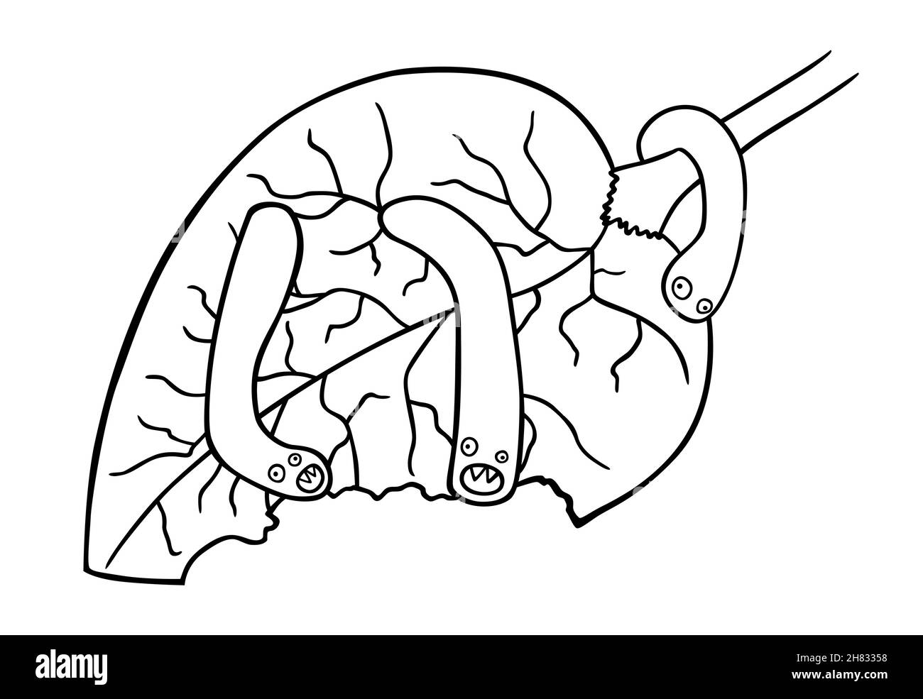 Monster worm drawing hi-res stock photography and images - Alamy