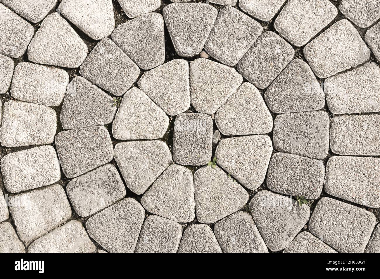 Stone paving circle texture Stock Photo - Alamy