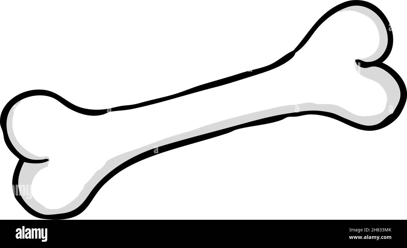 Painted easy bone, vector illustration Stock Vector Image & Art - Alamy