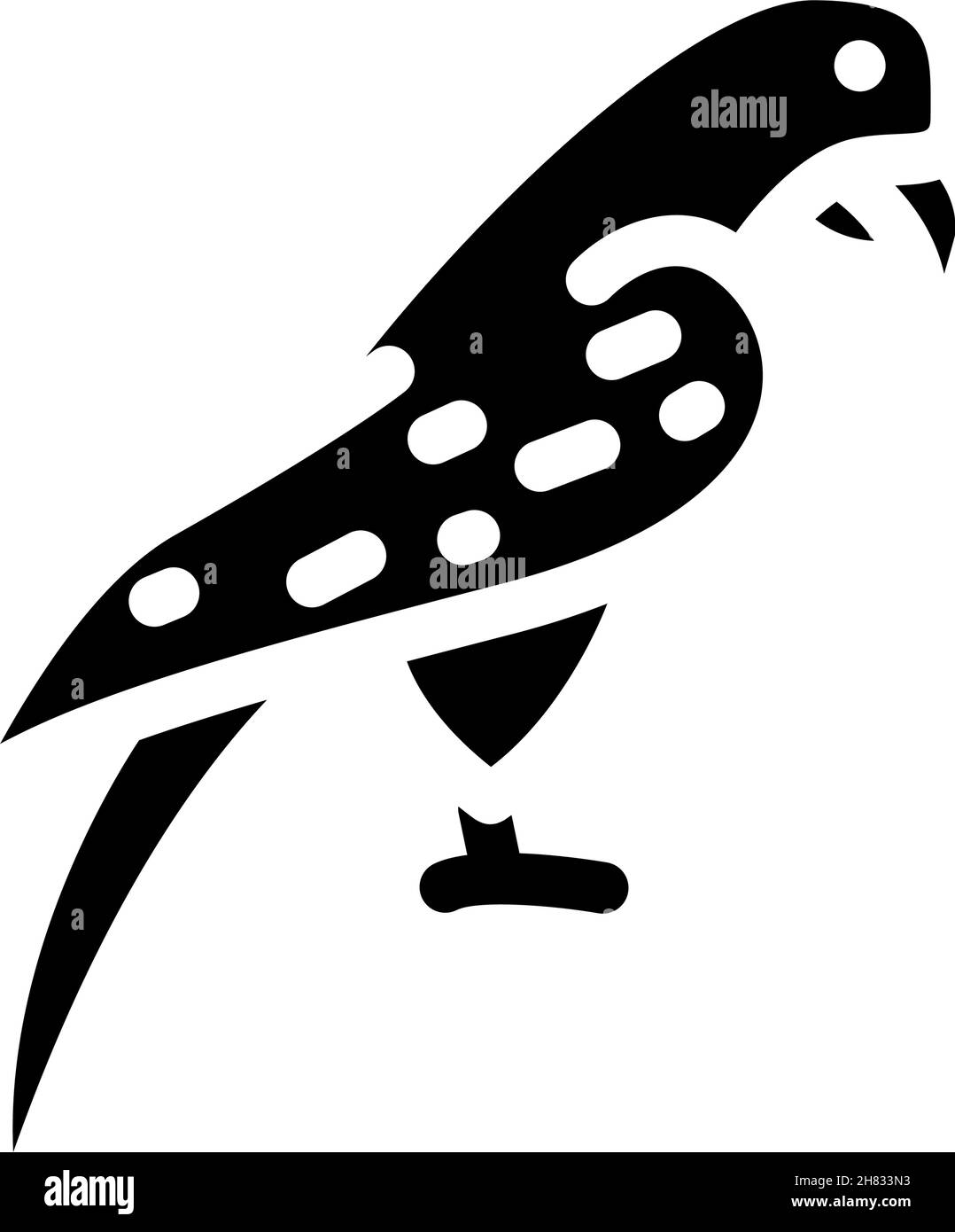 Parrot fish rabbit fish Black and White Stock Photos & Images - Alamy