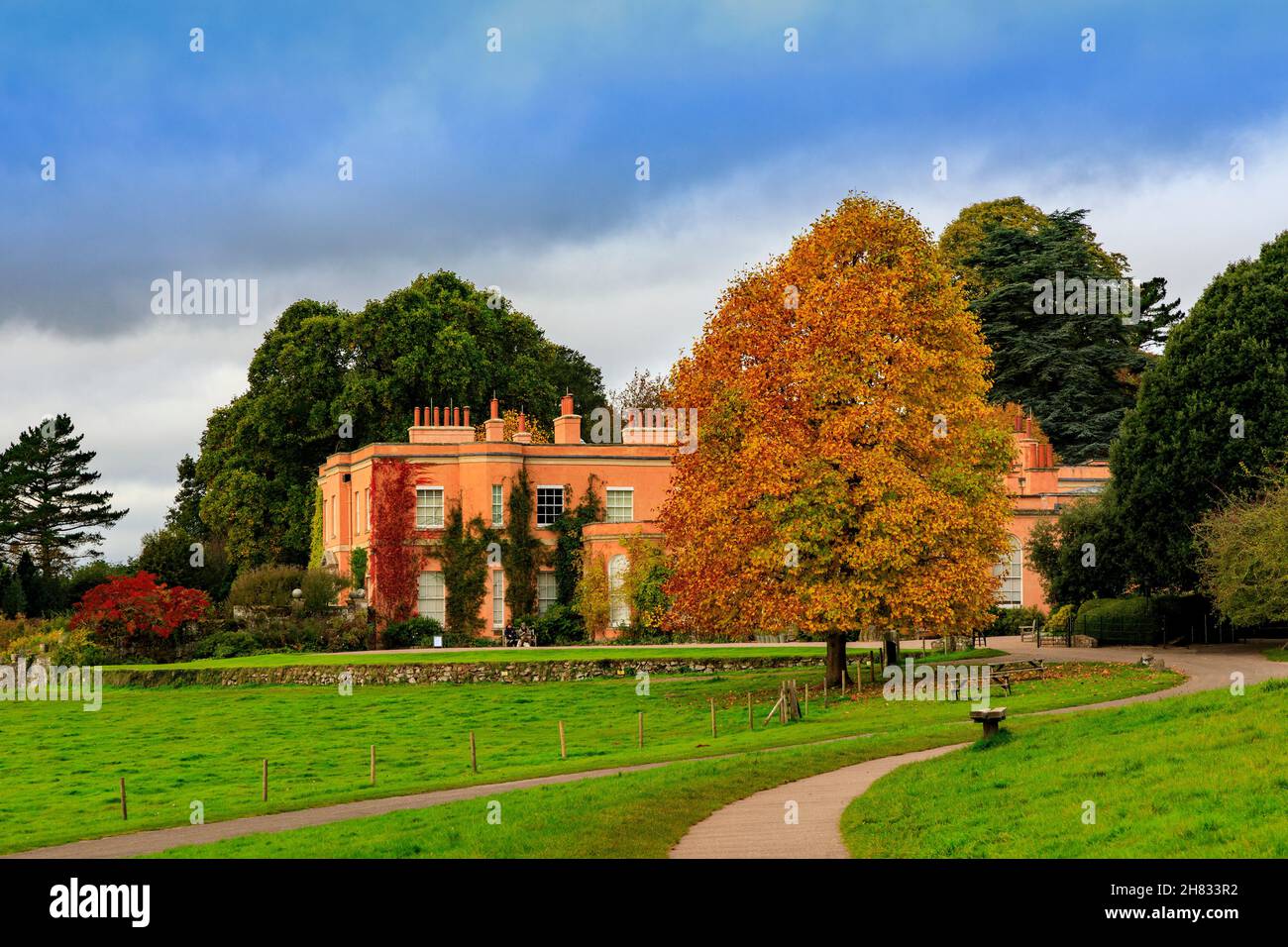 Vibrant autumn colour of the trees and shrubs in front of Killerton ...