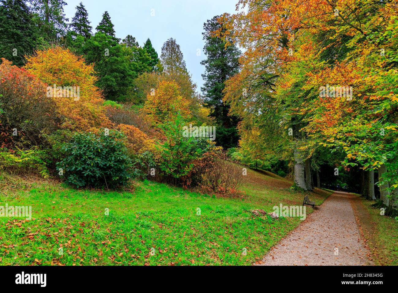 Vibrant autumn colour of trees and shrubs in the grounds of the ...