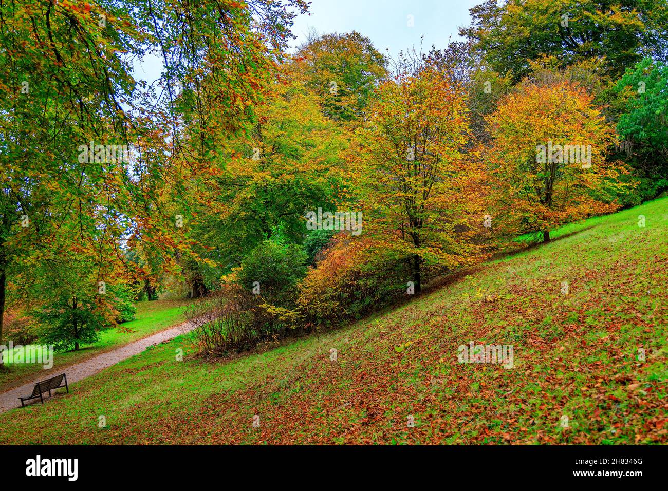 Vibrant autumn colour of trees and shrubs in the grounds of the ...