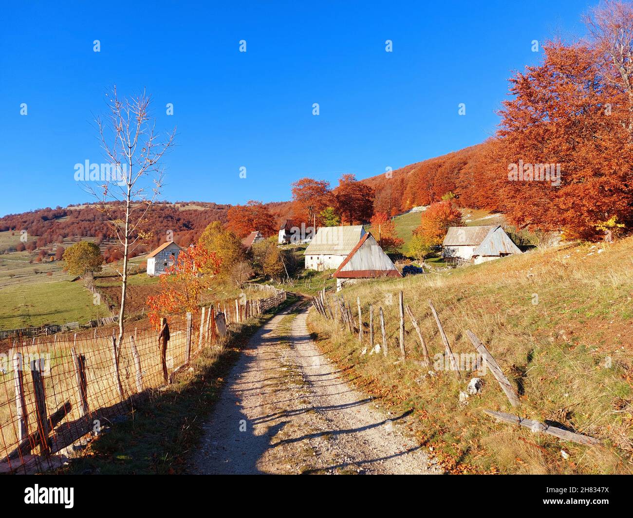 Footpath to a town near a forest with orange-leafed trees and a sky ...