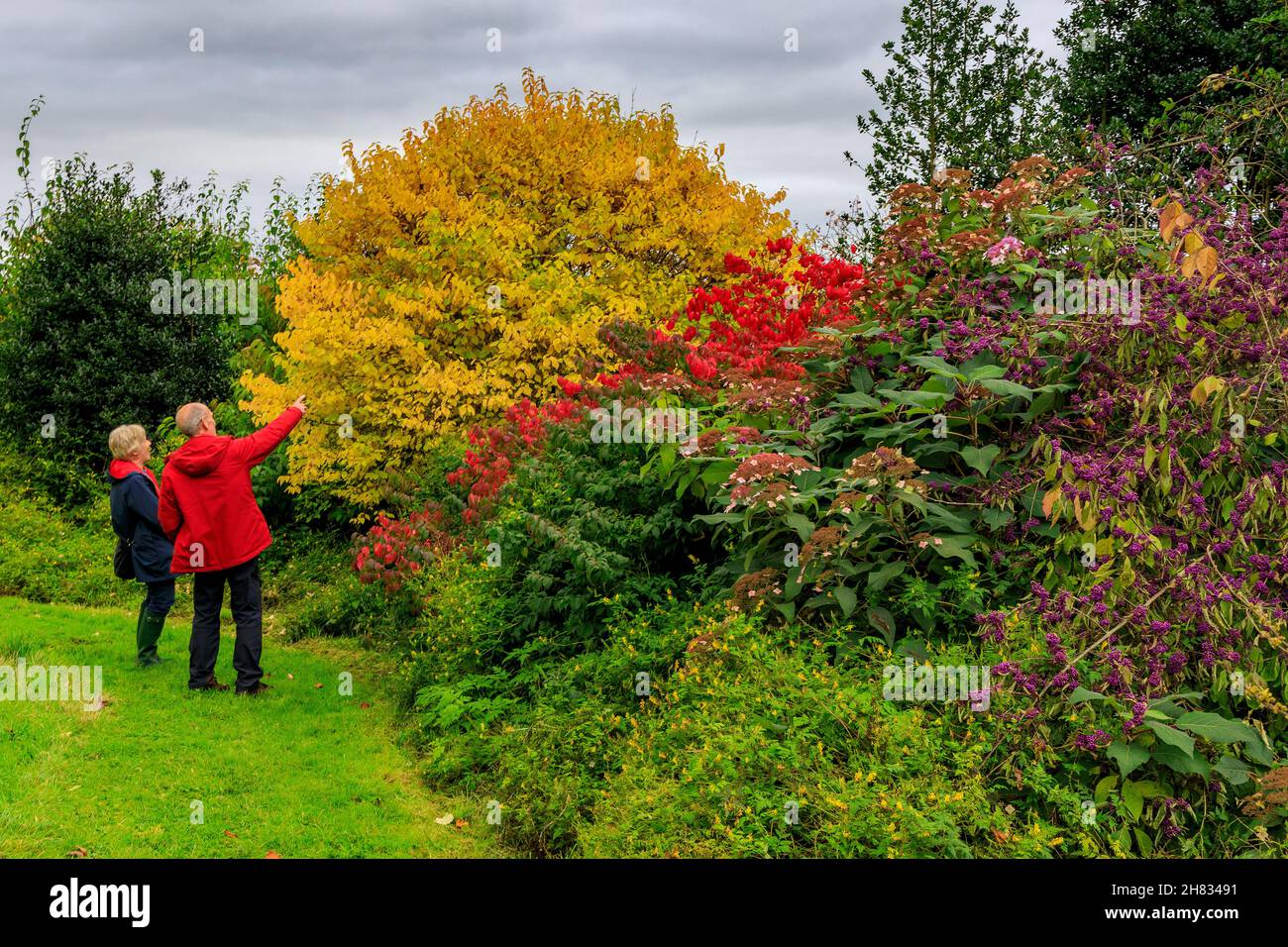 Visitors admiring the vibrant autumn colour of trees and shrubs in the ...