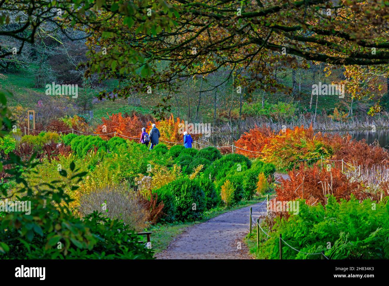 Fall bracken hi-res stock photography and images - Alamy
