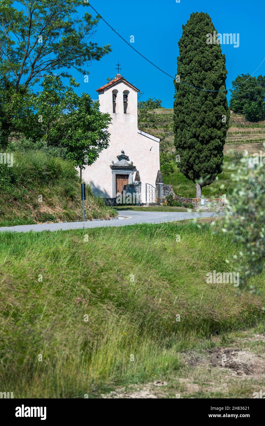 The Collio Friulano. Hills of farmhouses and vineyards Stock Photo - Alamy