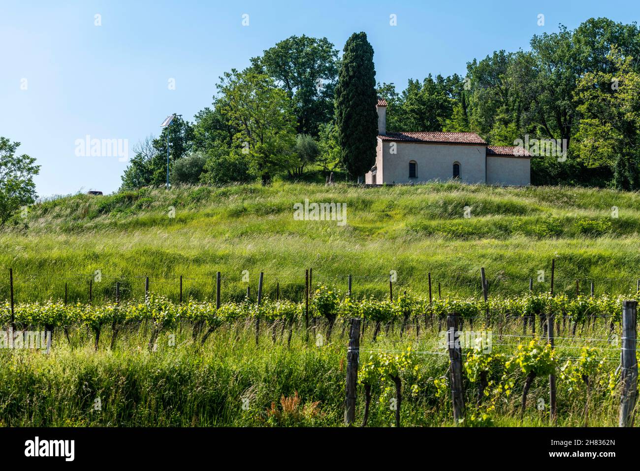 The Collio Friulano. Hills of farmhouses and vineyards Stock Photo - Alamy