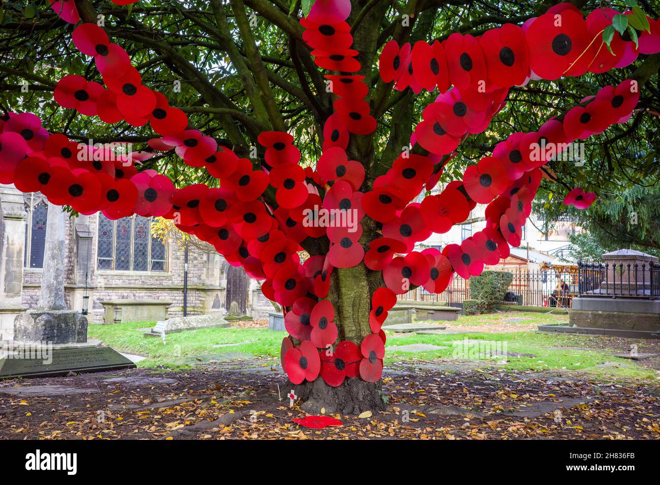 Tree of remembrance hi-res stock photography and images - Alamy