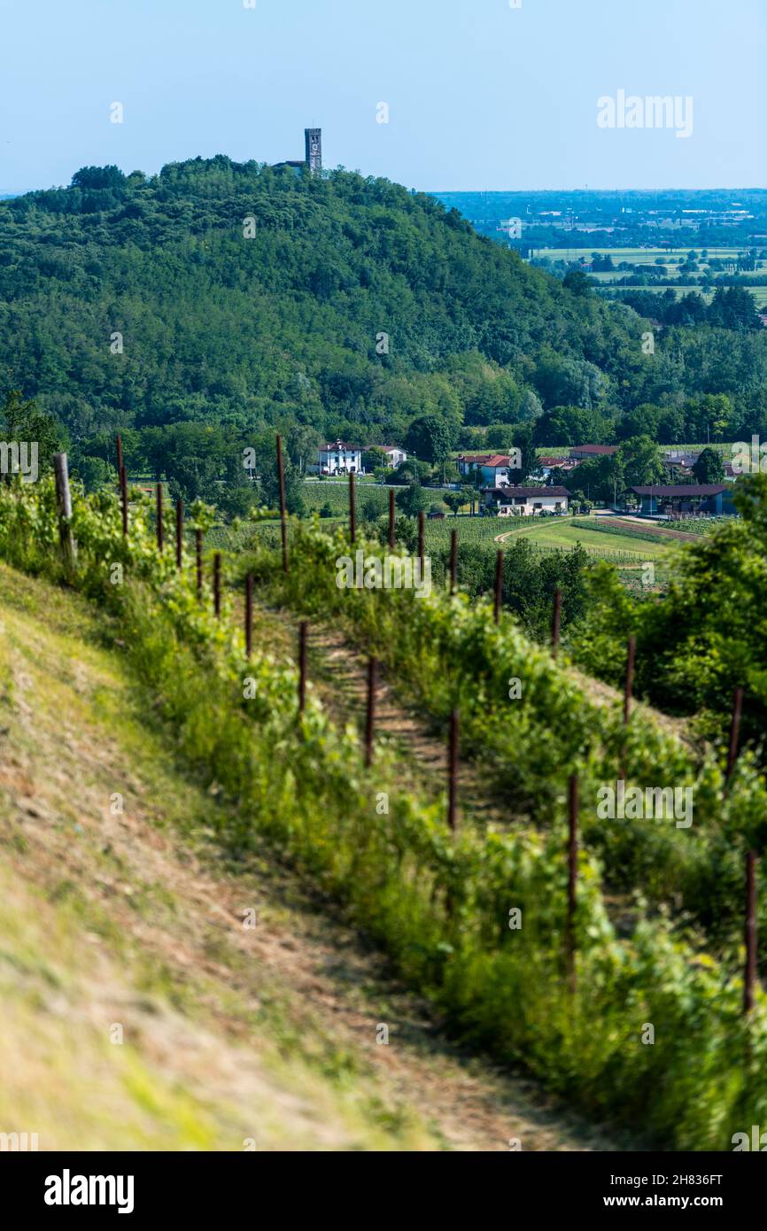 The Collio Friulano. Hills of farmhouses and vineyards Stock Photo - Alamy