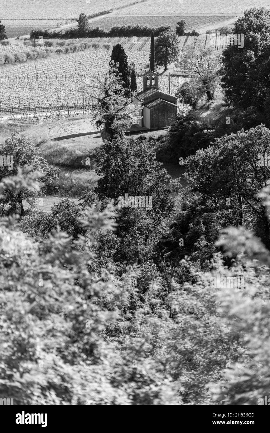 The Collio Friulano. Hills of farmhouses and vineyards Stock Photo - Alamy