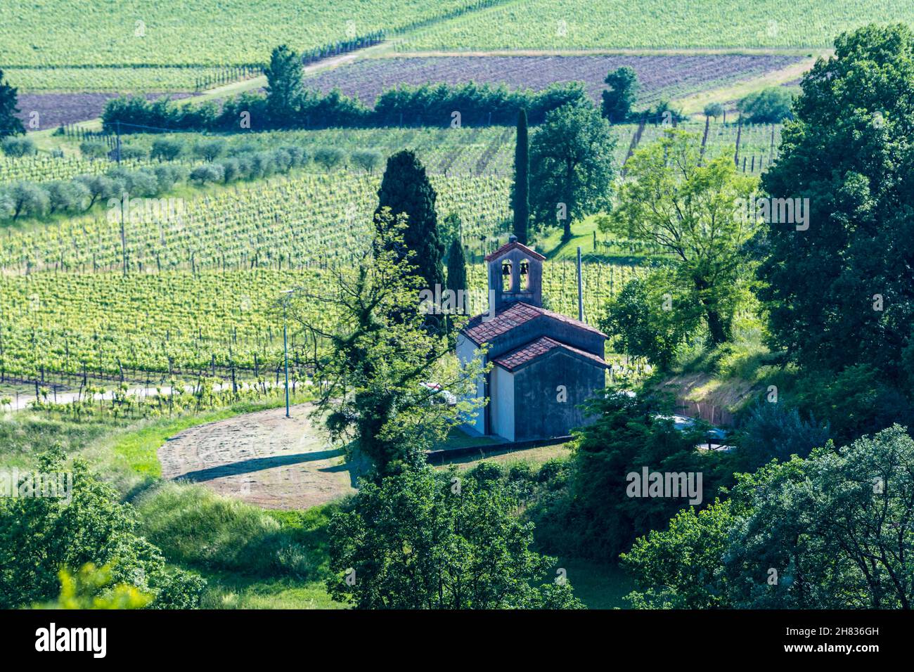 The Collio Friulano. Hills of farmhouses and vineyards Stock Photo - Alamy