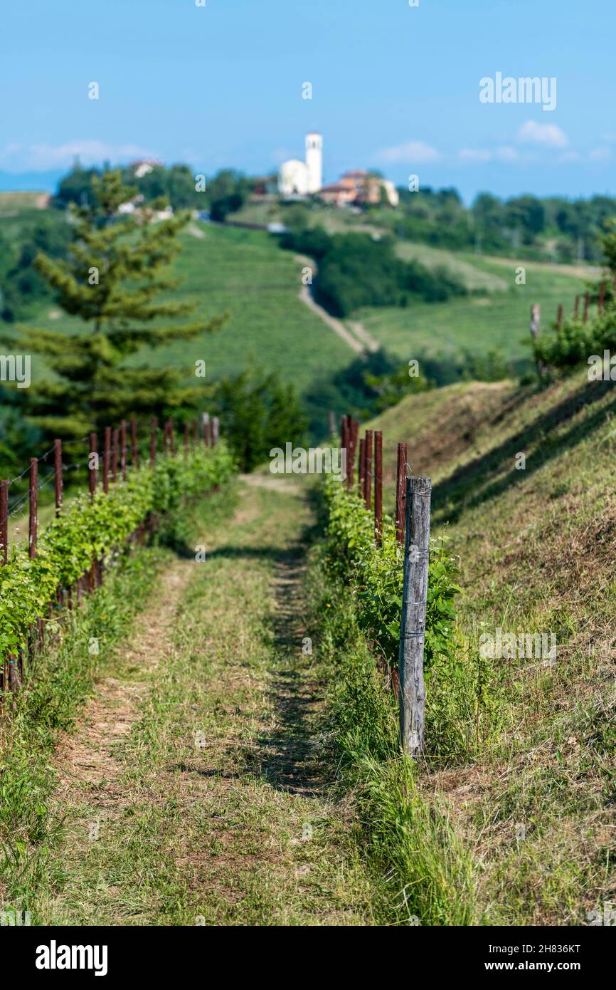 The Collio Friulano. Hills of farmhouses and vineyards Stock Photo - Alamy