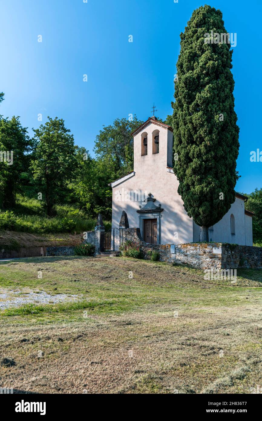 The Collio Friulano. Hills of farmhouses and vineyards Stock Photo - Alamy