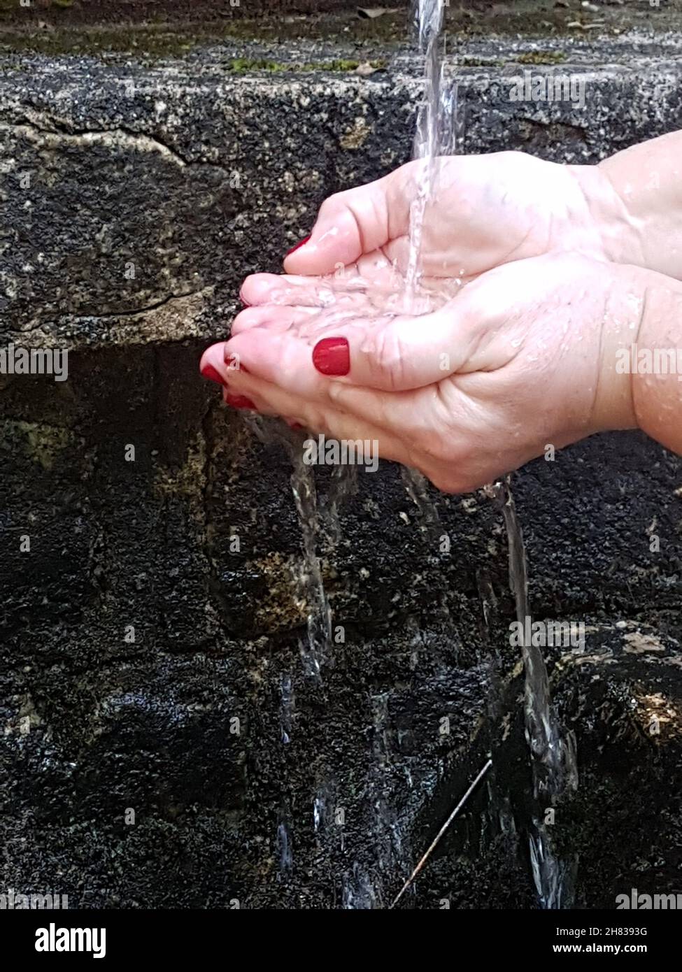 Hands holding water hi-res stock photography and images - Alamy
