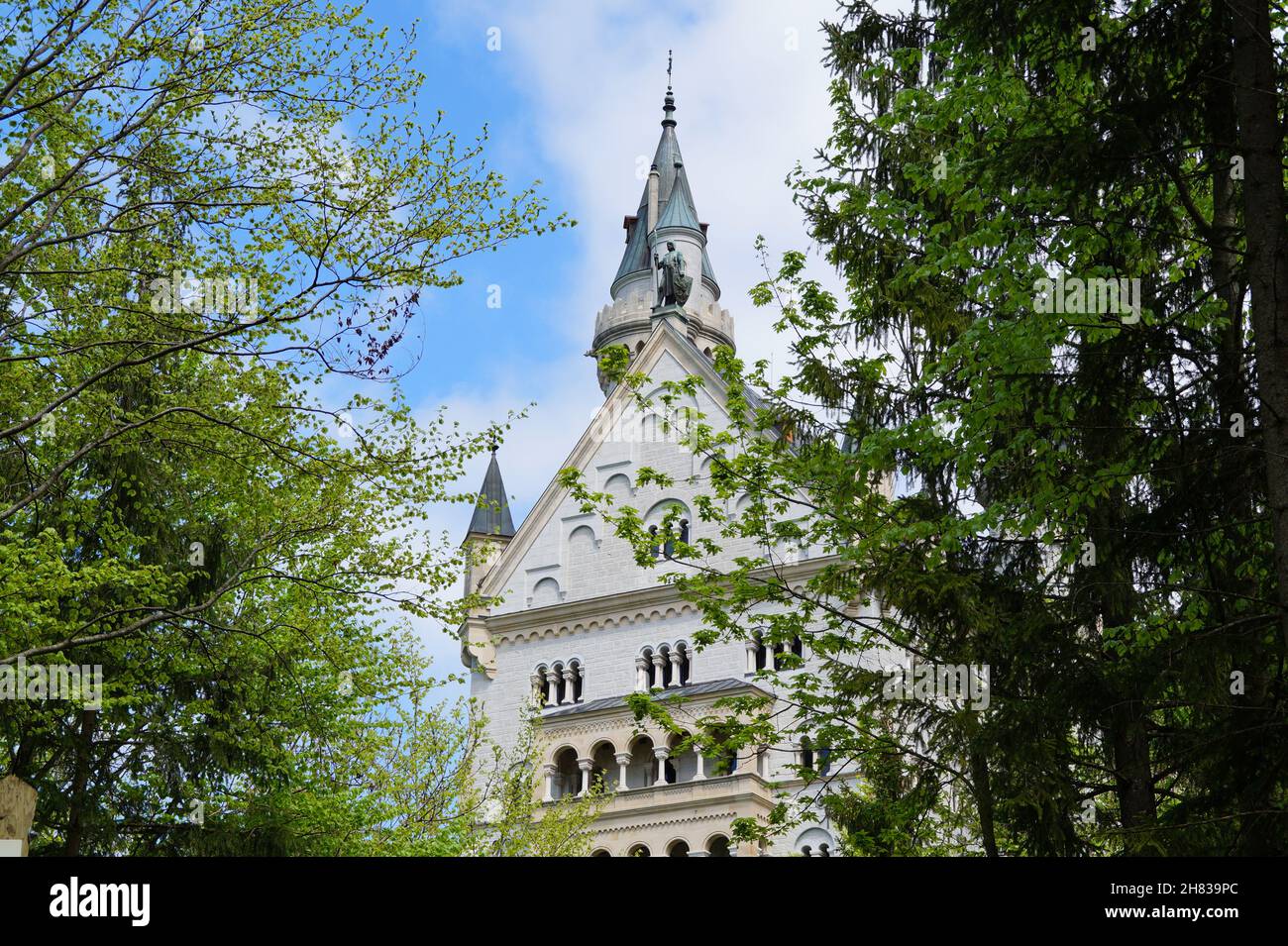Bavarian castle Neuschwanstein in the Alps and lake Forggensee in the ...