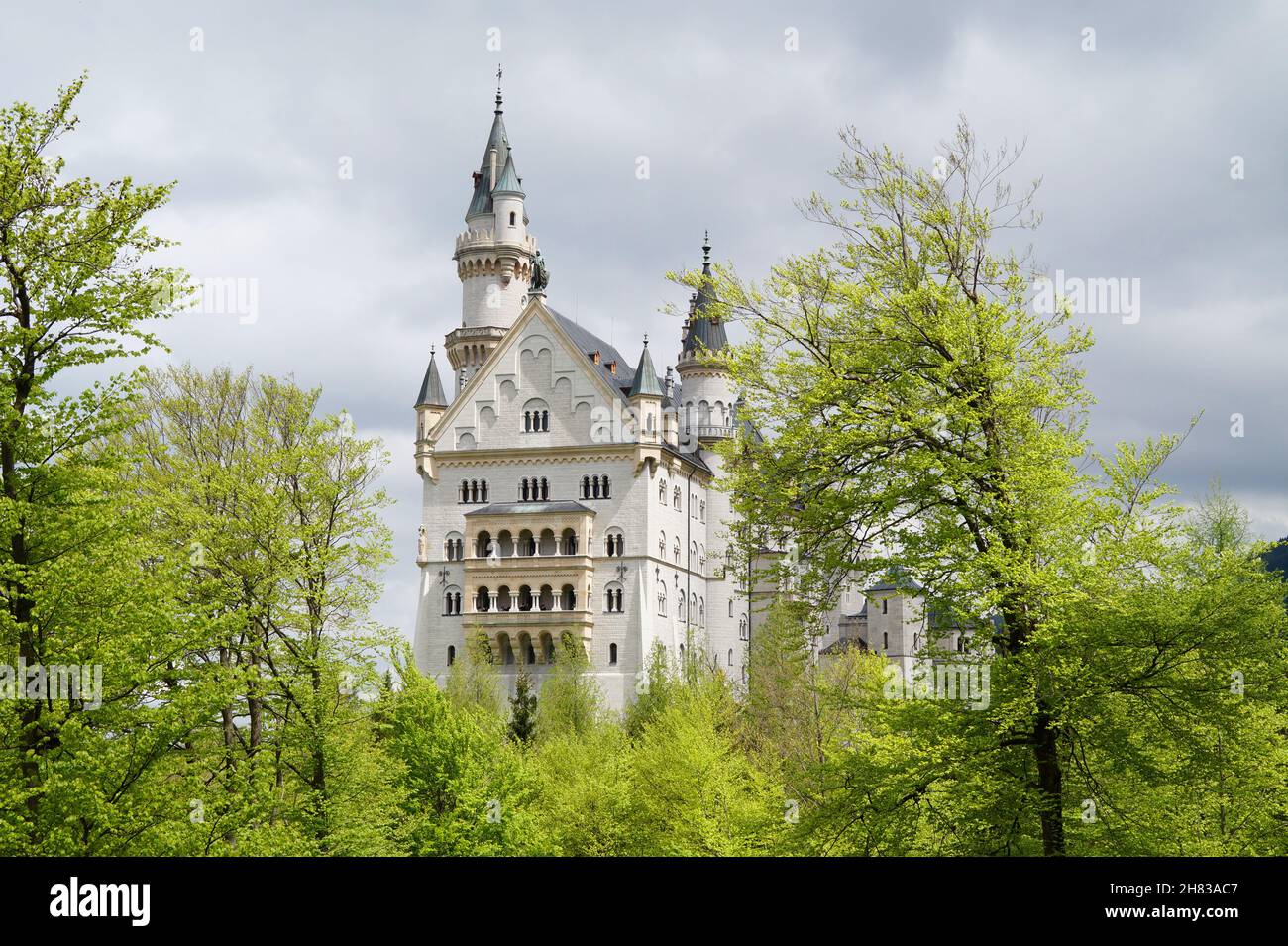 Bavarian castle Neuschwanstein in the Alps and lake Forggensee in the ...