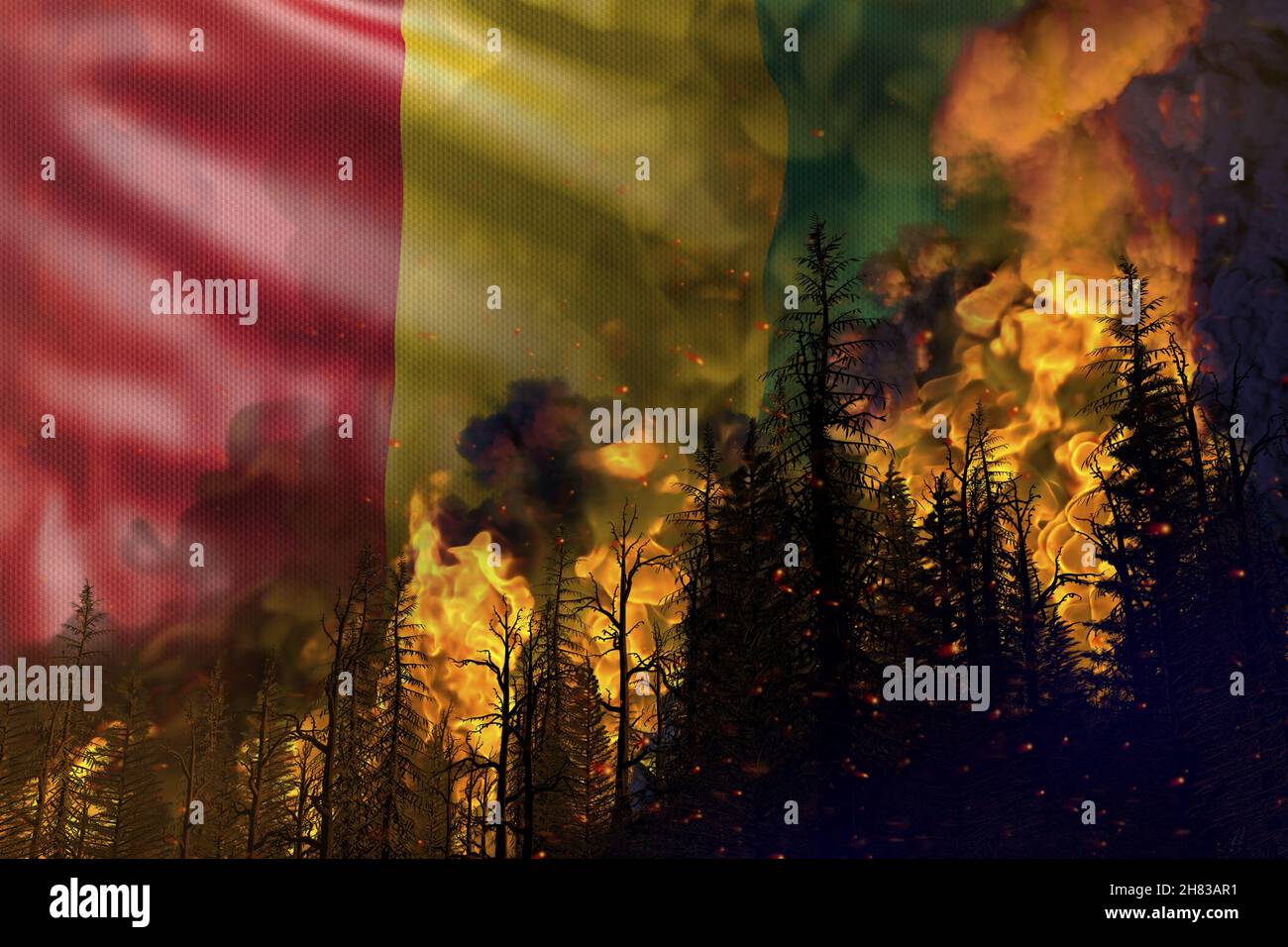 Forest fire natural disaster concept - heavy fire in the woods on ...