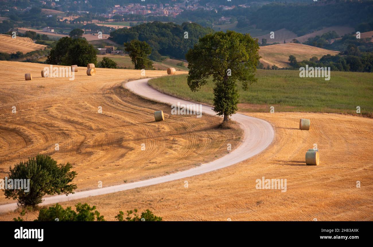 Rural landscape with winding road among farm fields in countryside ...