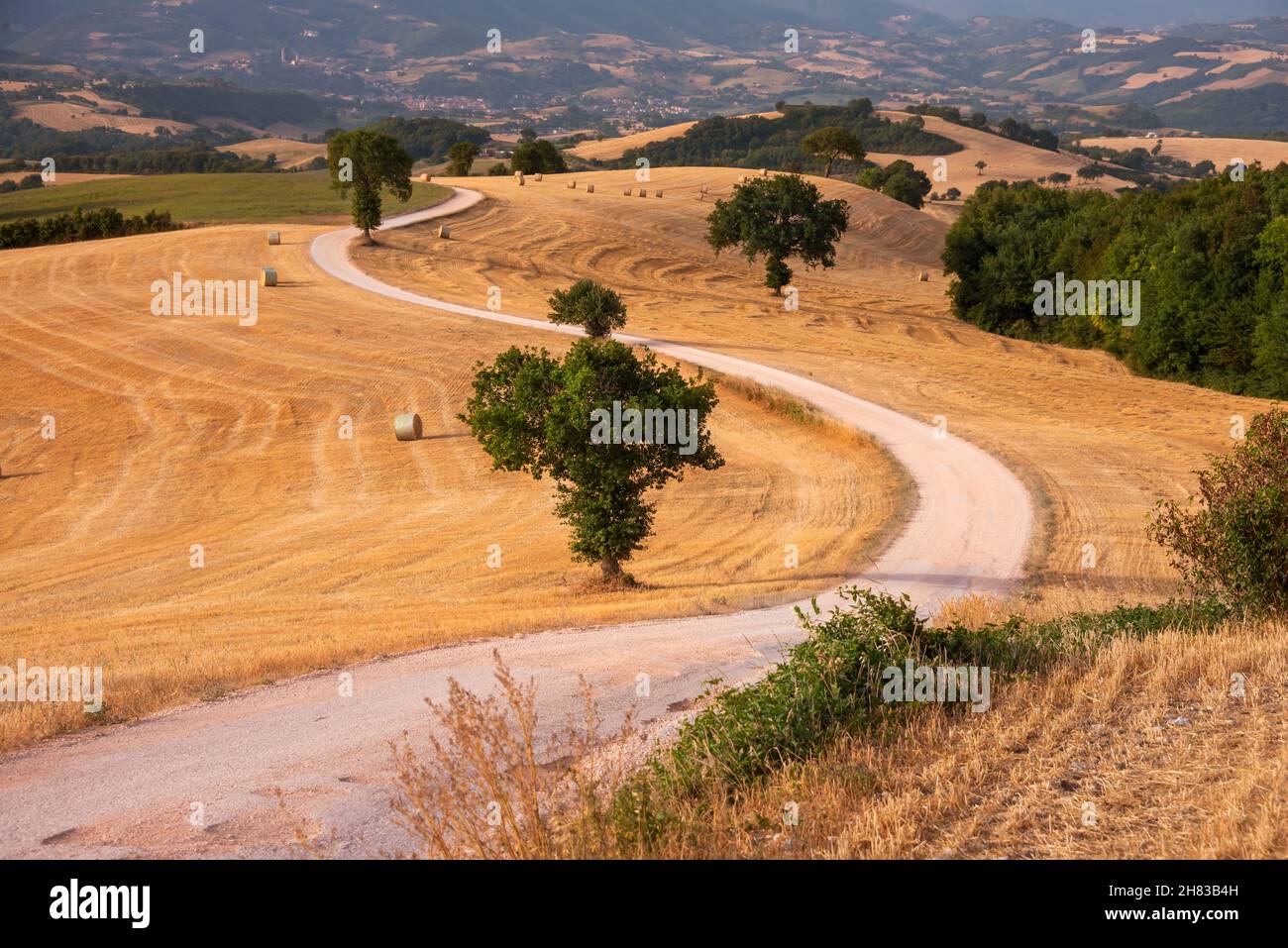 Rural landscape with winding road among farm fields in countryside ...