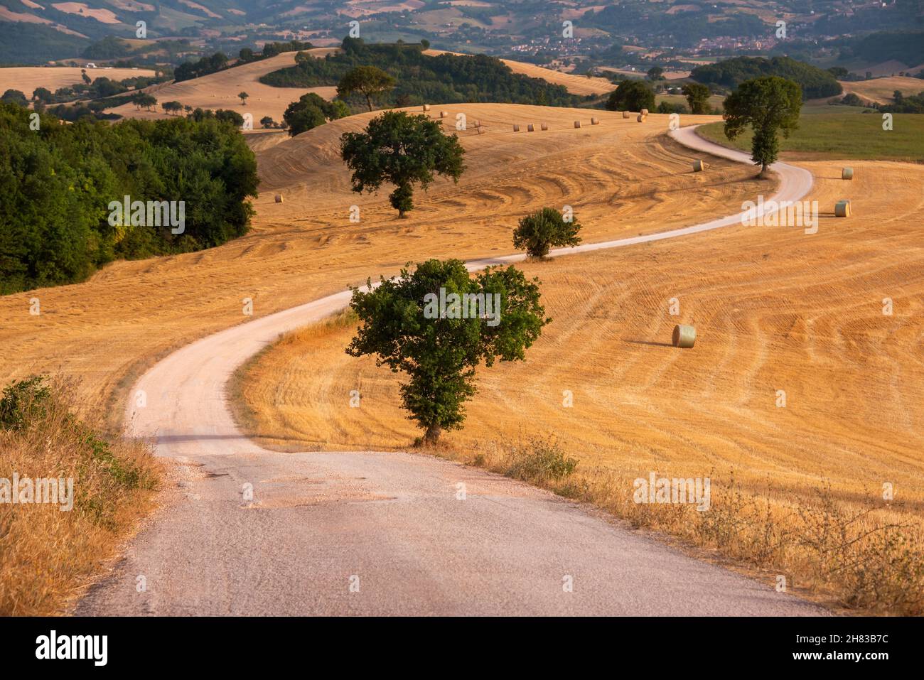 Rural landscape with winding road among farm fields in countryside ...