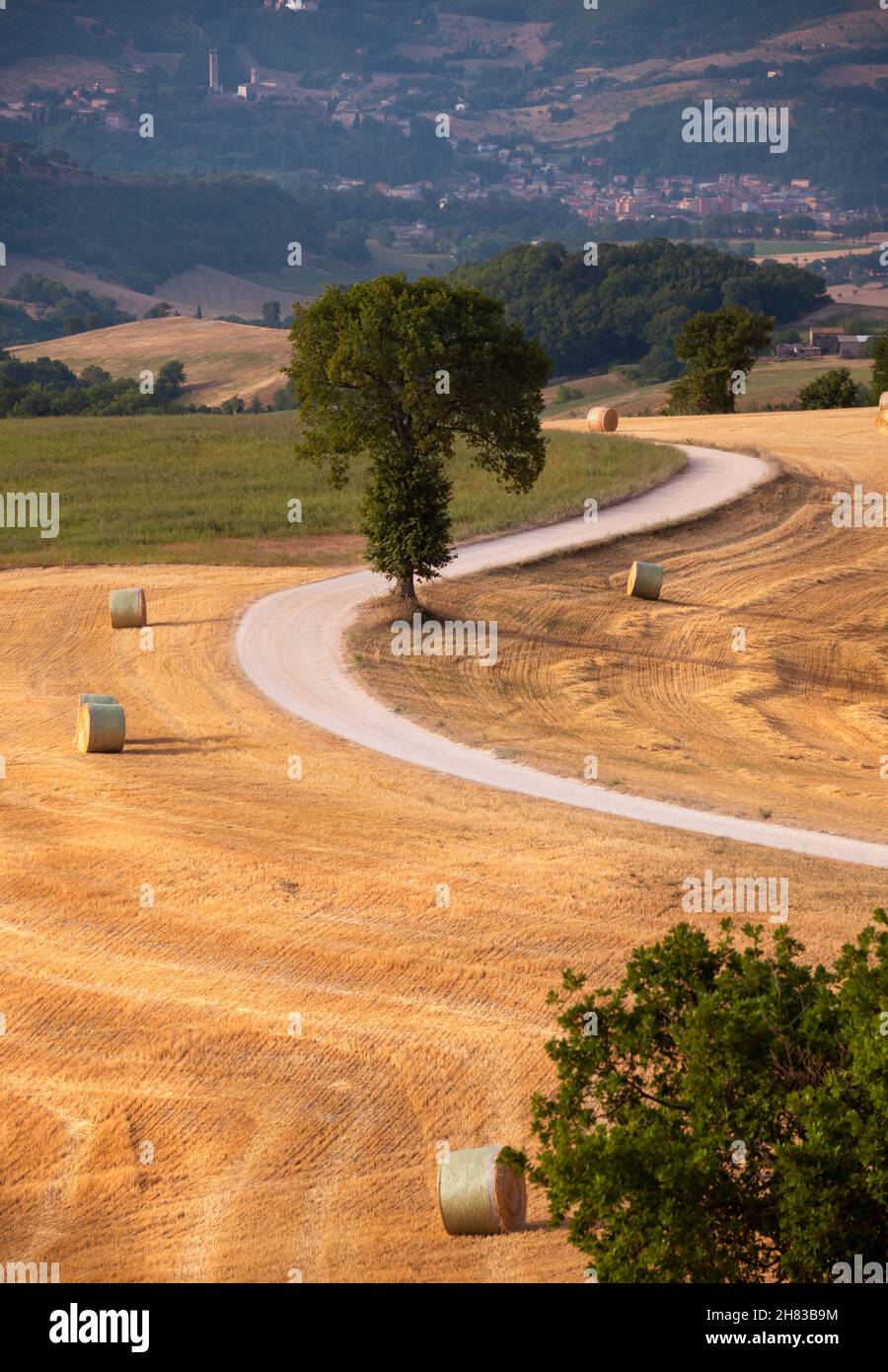 Rural landscape with winding road among farm fields in countryside ...
