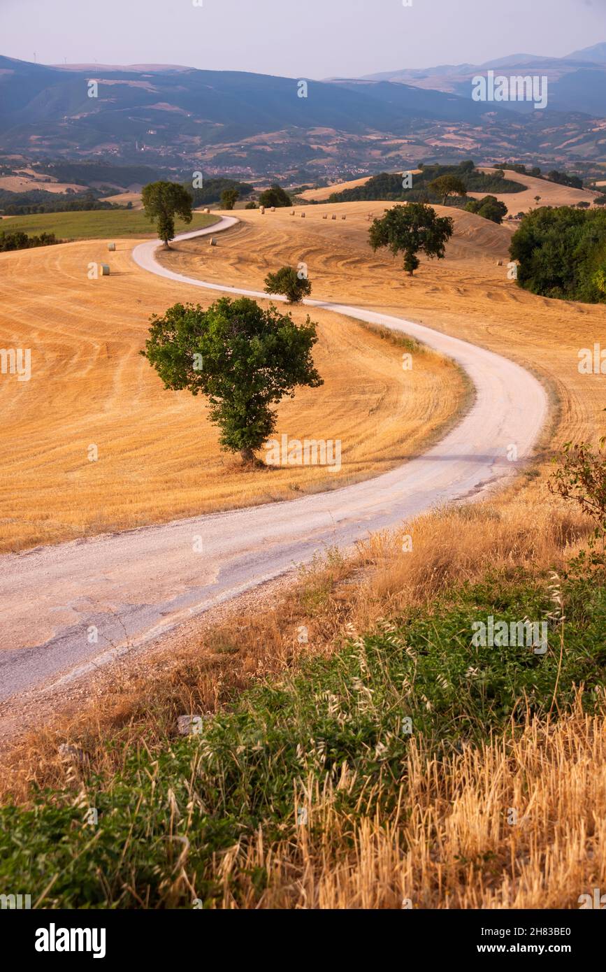 Rural landscape with winding road among farm fields in countryside ...