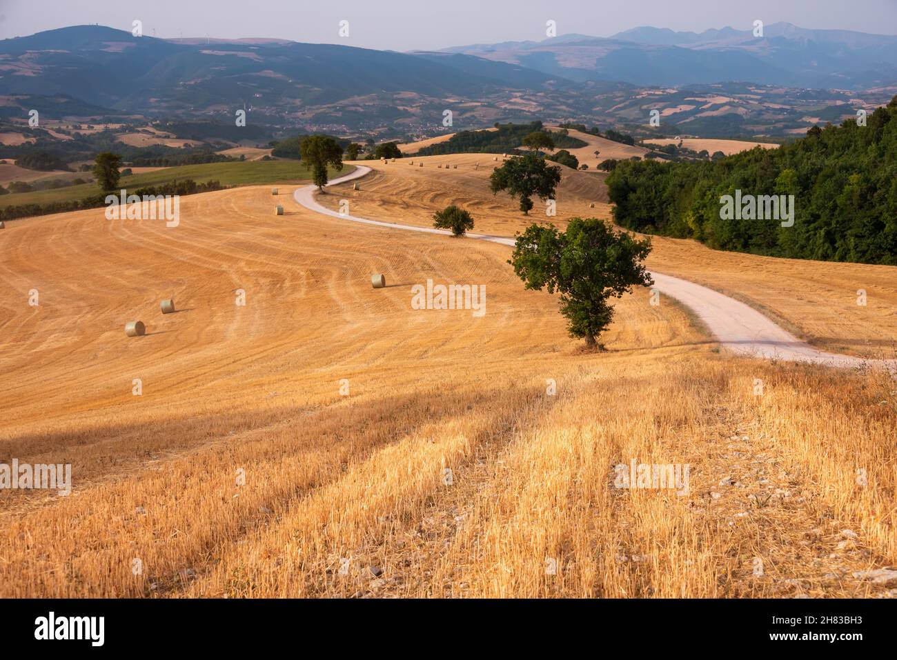 Rural landscape with winding road among farm fields in countryside ...