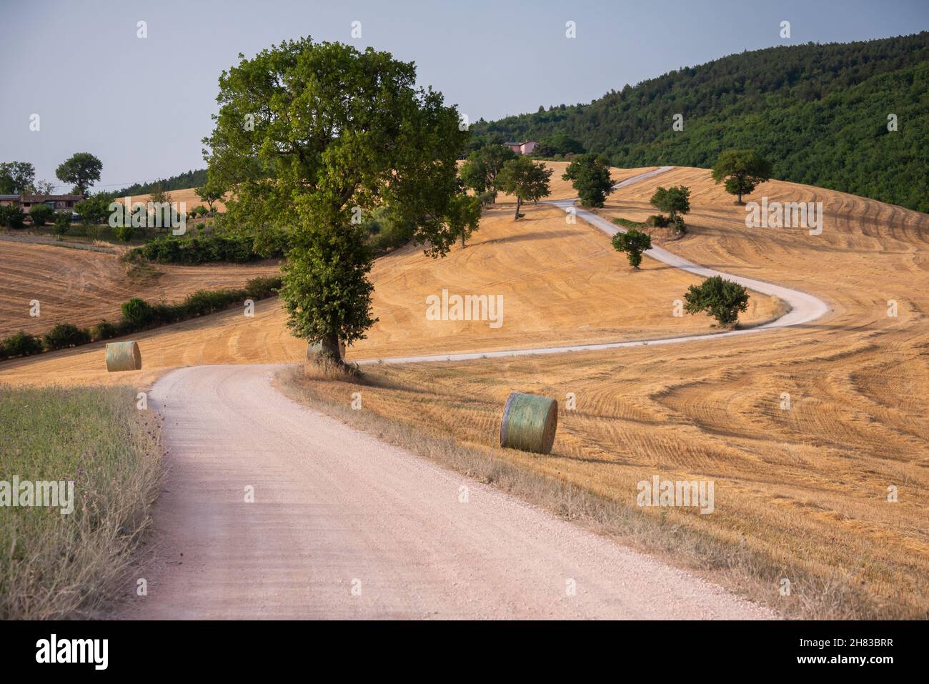 Rural landscape with winding road among farm fields in countryside ...