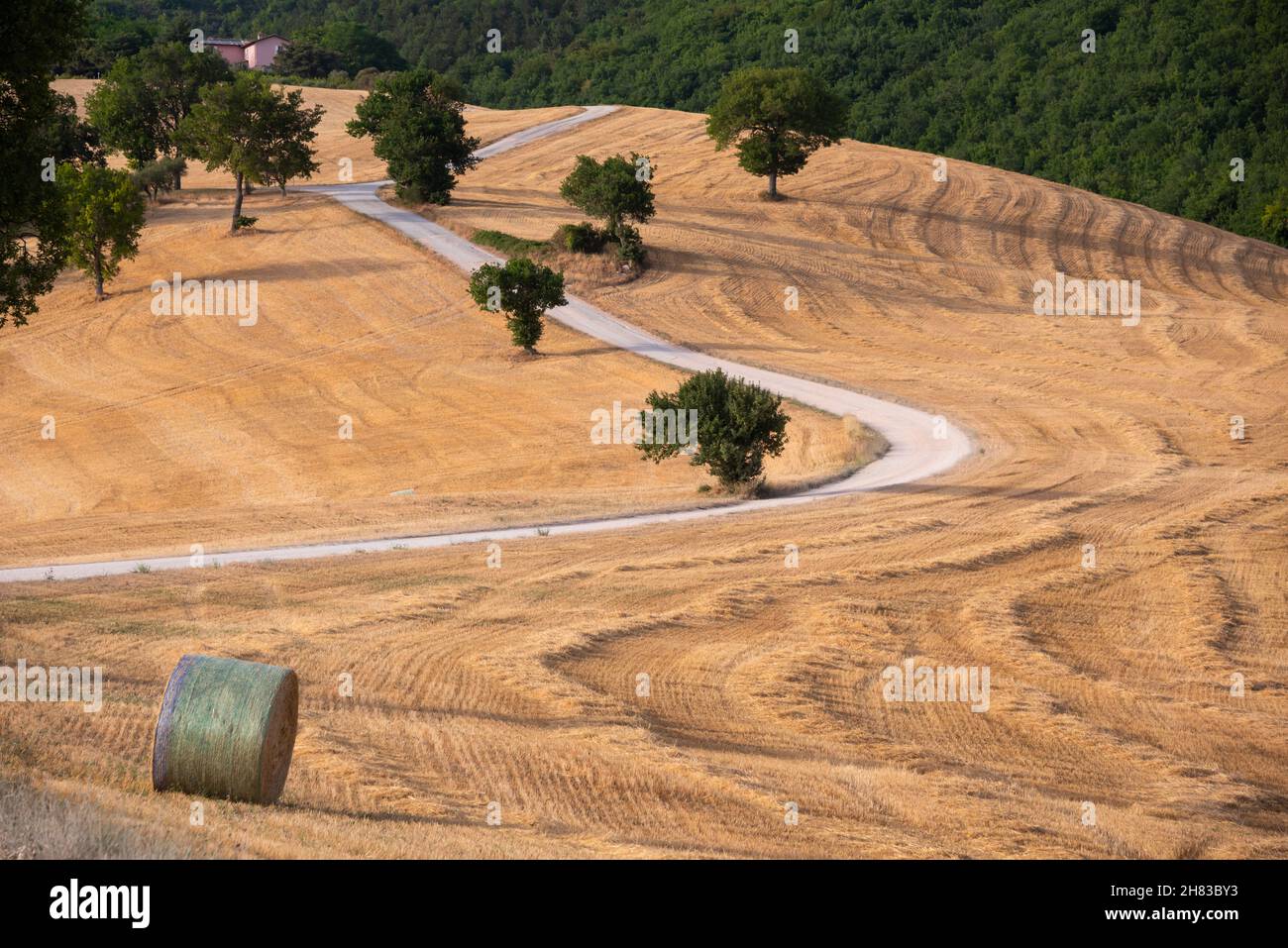 Rural landscape with winding road among farm fields in countryside ...