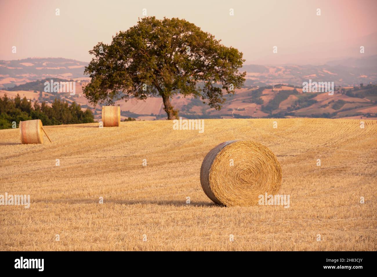 Landscape tuscany hay bales hi-res stock photography and images - Alamy