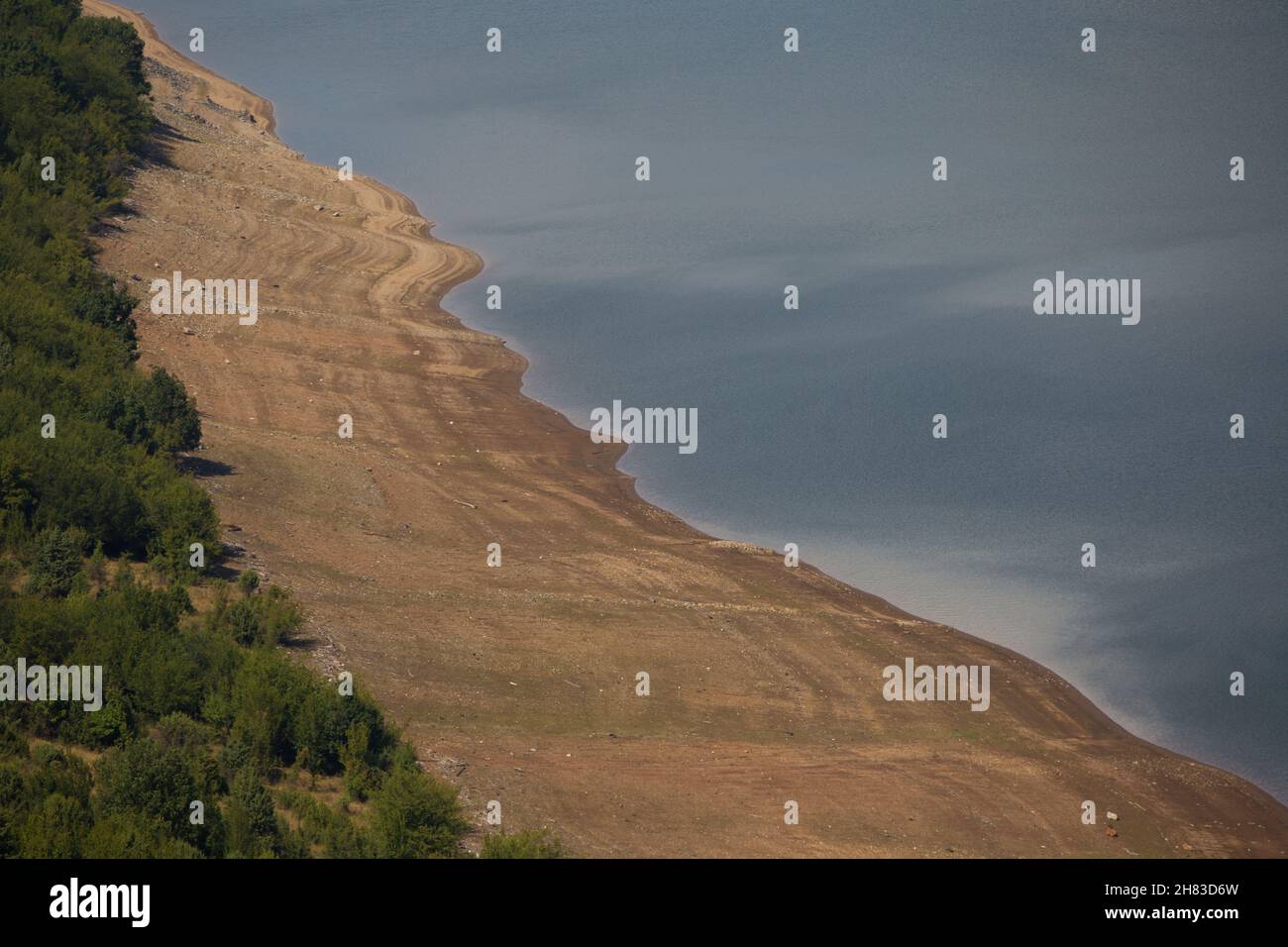 Aerial view of a beachline with trees and the sea Stock Photo - Alamy