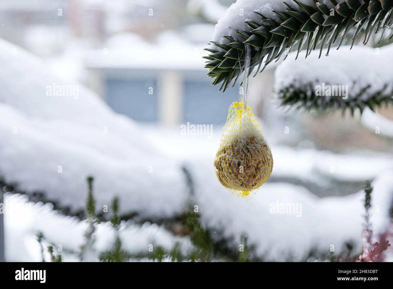 O fat hi-res stock photography and images - Alamy