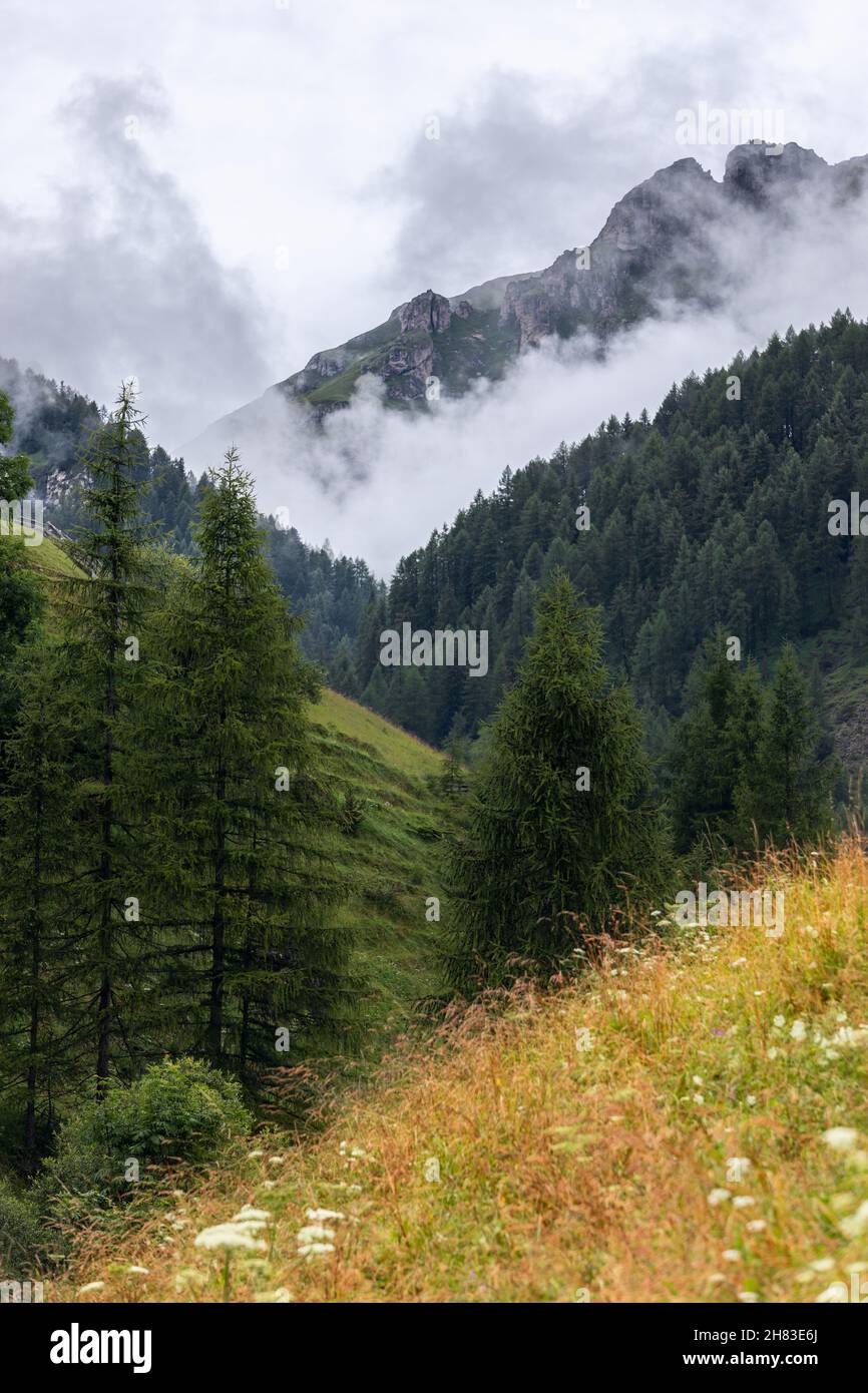 Alpine hills landscape in perspective (Italian Dolomites, Alto Adige ...