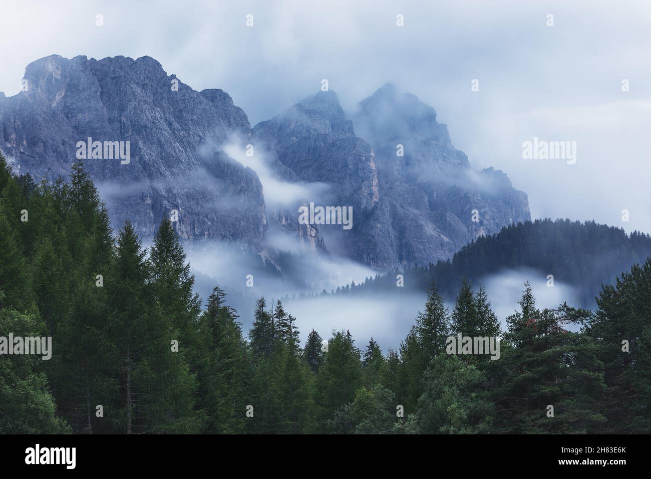 Enveloping fog hi-res stock photography and images - Alamy