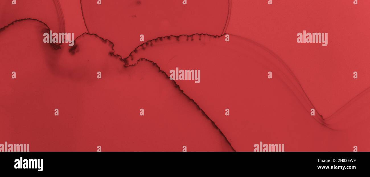 Liquid Blood Background. Rose Ink Banner. Halloween Splatter Black ...